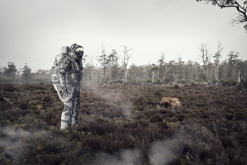 Astronaut in forest stock image. Image of ecological - 91596509