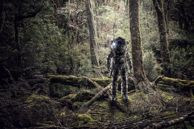 Astronaut in forest stock photo. Image of journey, pilot - 92007522