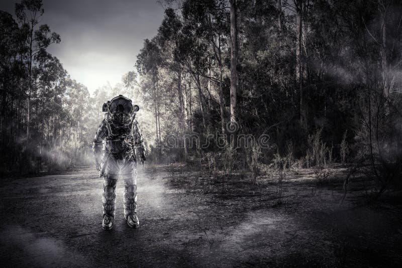 Astronaut in forest stock photo. Image of astronomy, environmental ...