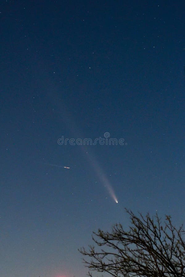 Astronomy Night with the Beautiful Comet Stock Photo - Image of dawn ...