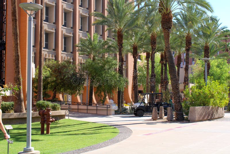 ASU Tempe campus stock image. Image of green, home, yard - 267673539