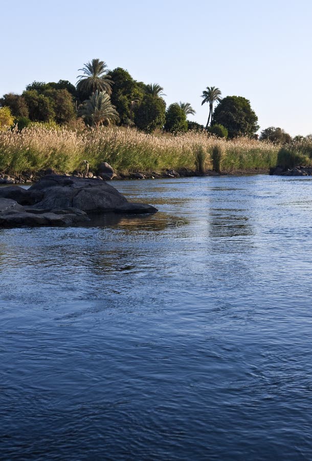 Aswan stock photo. Image of aswan, river, nature, africa - 60235744
