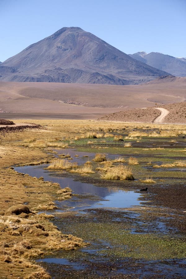 Atacama desert stock image. Image of south, river, mountain - 10702809