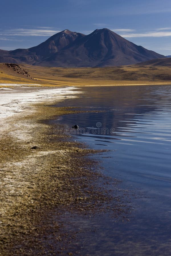 Atacama Desert - Altiplanic Lagoon - Chile Stock Photo - Image of ...