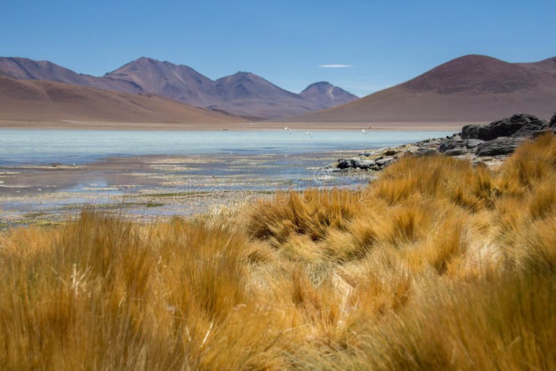 Atacama Chile pustynia obraz stock. Obraz złożonej z laguna - 15606395