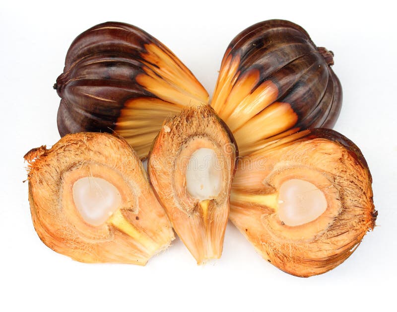 Atap seeds stock image. Image of atap, background, asian - 19650759