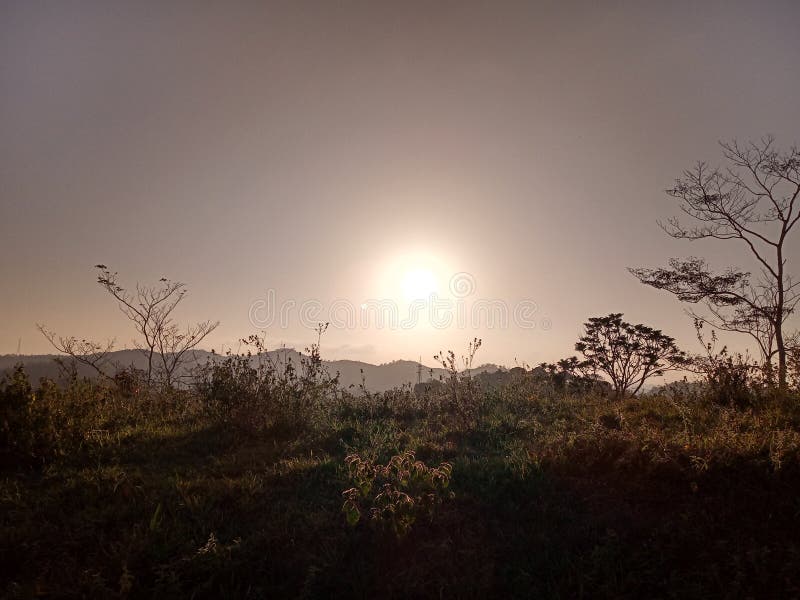 Atardecer Naturaleza Sol Verde Stock Image - Image of naturaleza ...