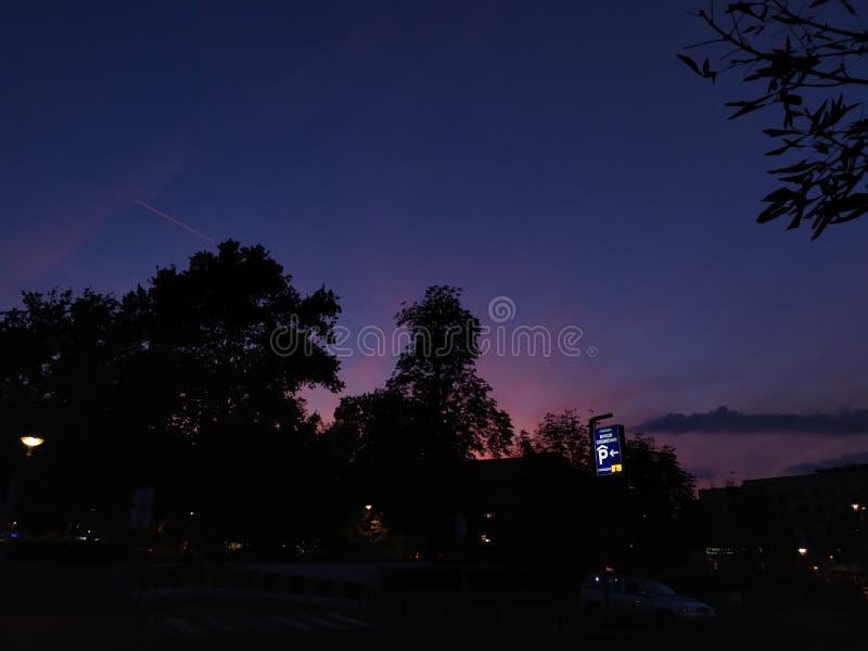 Atardecer Violeta Suave Con Siluetas De árbol Fotografía editorial ...