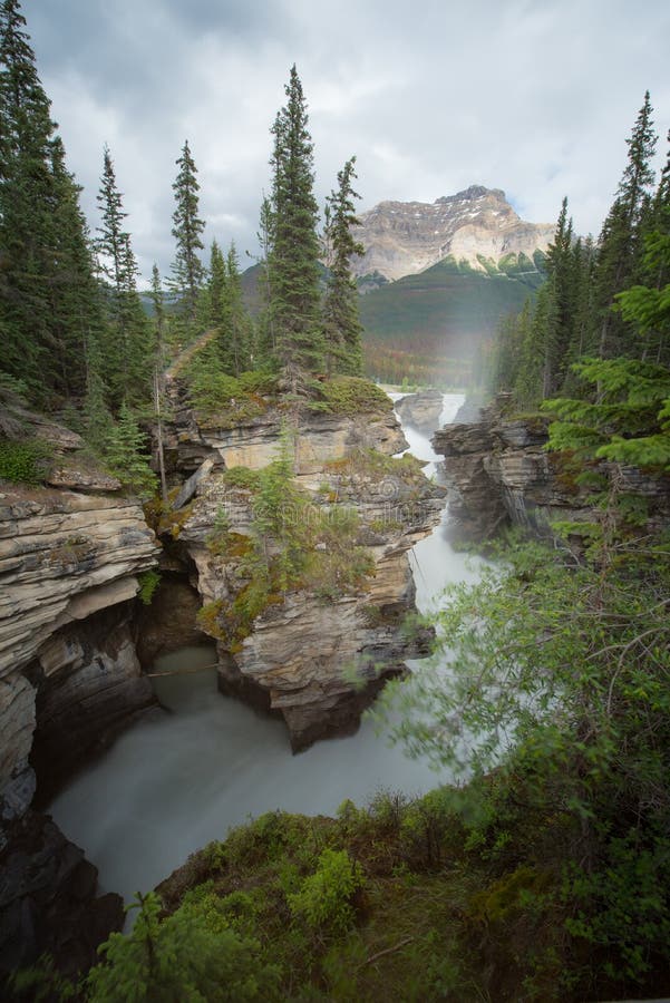 Athabasca Fall with Cloudy Day in Spring, Alberta, Canada Stock Photo ...