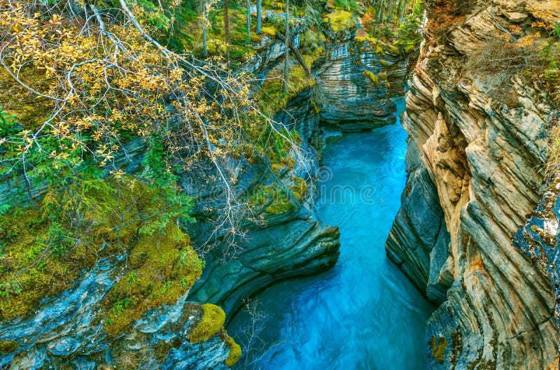 Athabasca Falls in Autumn, Jasper National Park, Canada Stock Image ...