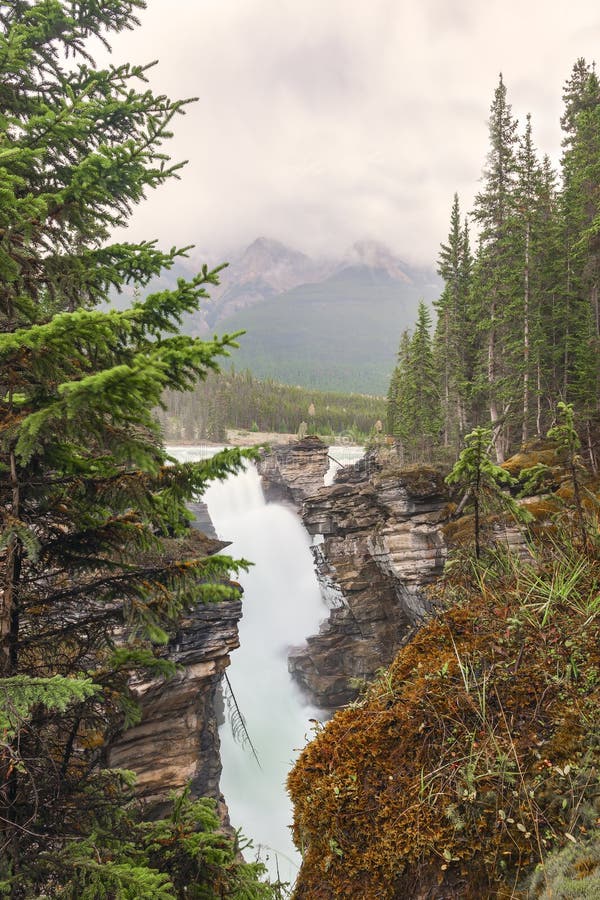 Athabasca Falls on the Upper Athabasca River. Jasper National Park ...