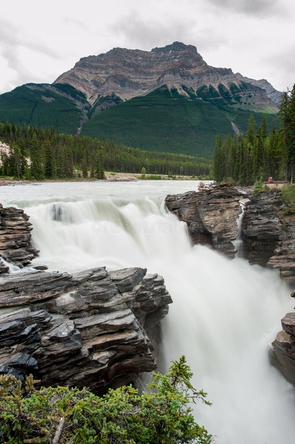 Athabasca Falls Waterfall stock photo. Image of beautiful - 28403106