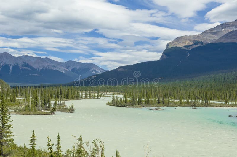 Athabasca Lake, Canada stock image. Image of trees, canadian - 103084221