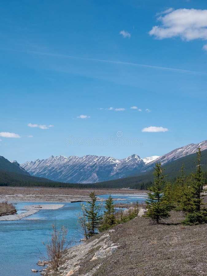 View on Athabasca River, Alberta, Canada Stock Image - Image of ...