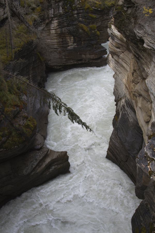 Athabasca River Channels between Steep Cliffs Stock Image - Image of ...