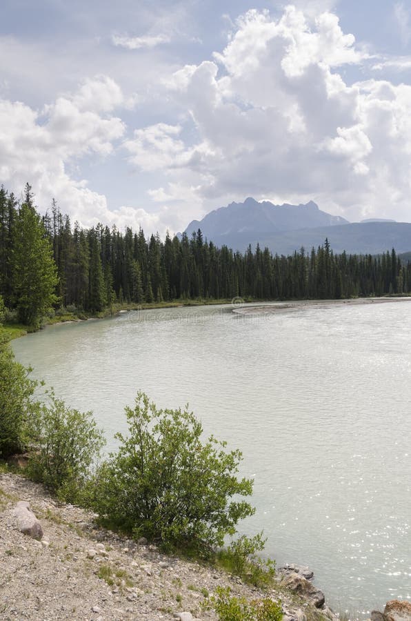 Athabasca River Overview in Canada Stock Photo - Image of tranquility ...