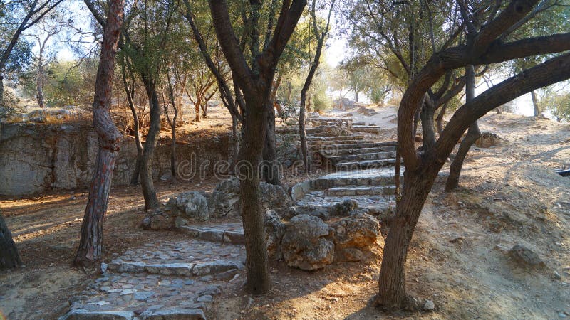 Athens parks stock photo. Image of parks, grow, marble - 78002134