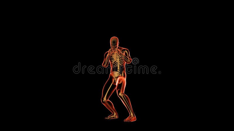 Athlete Boxing Seamless Loop, X-ray Render, Alpha Channel Stock Footage - Video of power ...