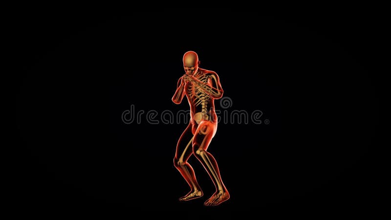 Athlete X-Ray Boxing, Side View, Seamless Loop, Green Screen Chromakey ...