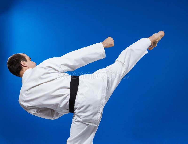 Taekwondo side kick stock photo. Image of fighter, sport - 23889368