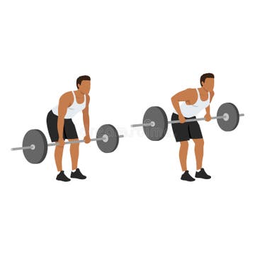 Barbell Bent Over Rows Stock Illustrations – 35 Barbell Bent Over Rows ...