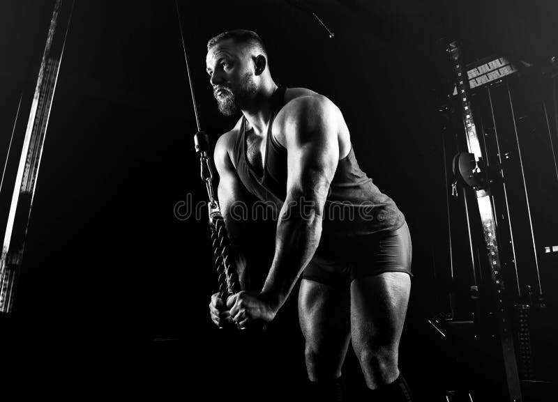 The Athlete Performs an Exercise on the Triceps on a Special Dev Stock ...