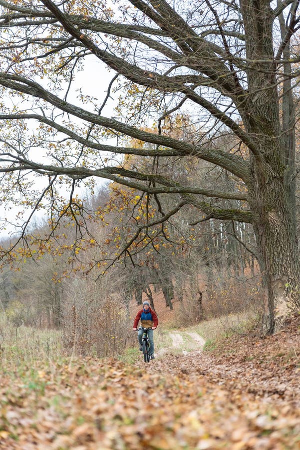 Athlete Rides a Bicycle in the Nature at High Speed in Autumn Stock ...