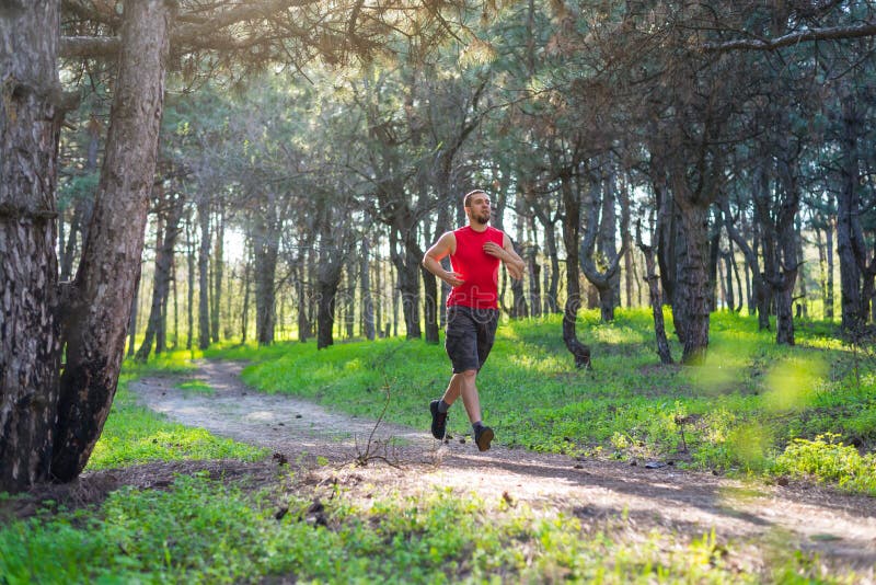 The Athlete Running Along the Forest Trail, a Copy of the Space. Stock ...