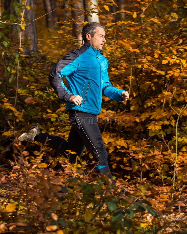 Athlete Running in the Forest in Autumn Stock Image - Image of outdoors ...