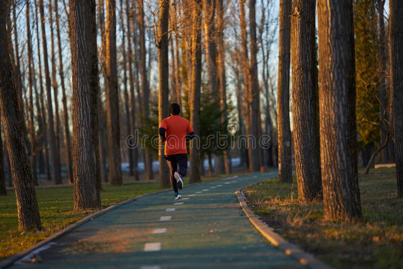 Athlete Running in the Park Stock Image - Image of park, nature: 303946503
