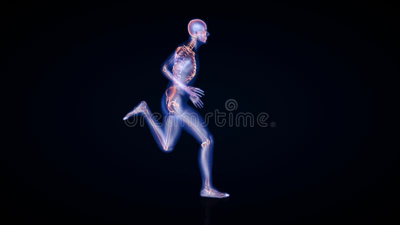 Athlete Running Seamless Loop X-ray Render White Background Stock ...