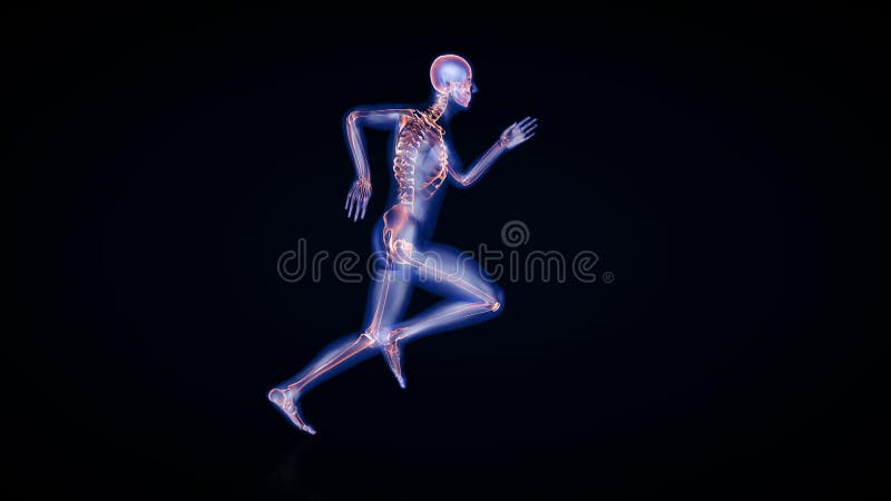 Athlete Running Seamless Loop, X-ray Render, Luma Matte Attached Stock Footage - Video of male ...