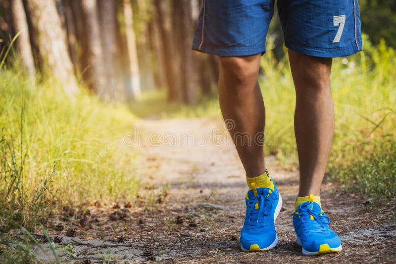 Athlete Running through the Woods. Stock Image - Image of running ...