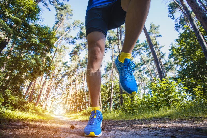 Athlete Running through the Woods. Stock Image - Image of sportsman ...