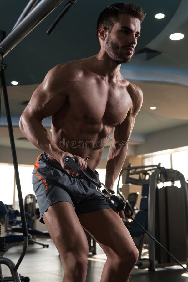 Athlete is Working Back Workout Cable Stock Image - Image of club ...