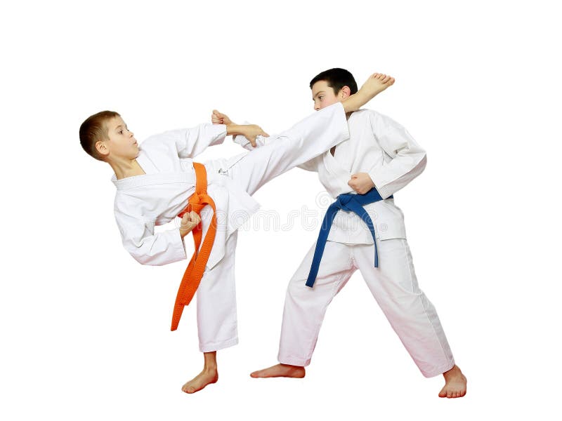 Athletes Karate are Training Paired Exercises on a White Background ...
