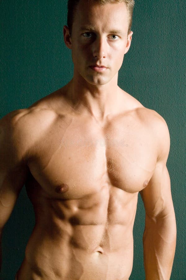 Athletic body builder stock photo. Image of biceps, physical - 2238706