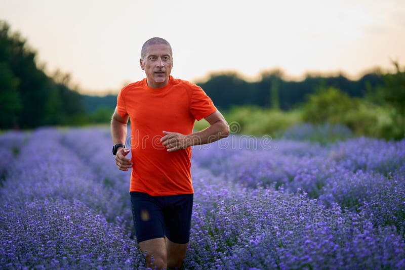 Endurance Runner in a Lavender Plantation, Jogging Stock Image - Image ...