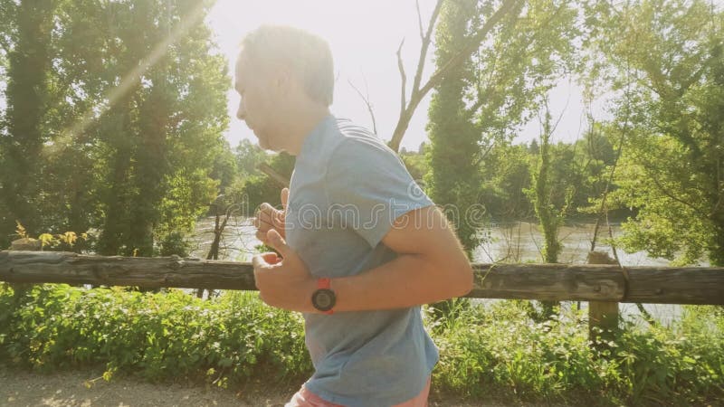 An Athletic Runner Running in the Park in Summer Stock Photo - Image of ...