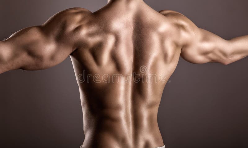Strong Lower Back Men