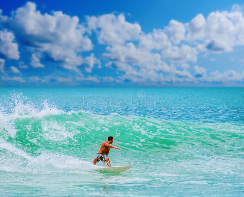 Athletic surfer with board stock photo. Image of adventure - 42517744