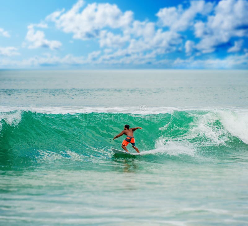 Athletic surfer with board stock photo. Image of northshore - 42728836