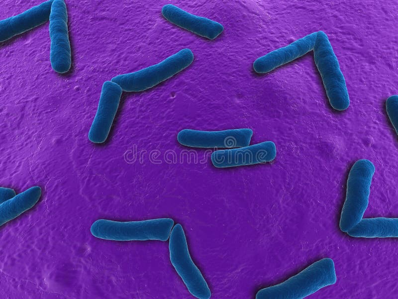 Athrobacter stock illustration. Illustration of biology - 11962306