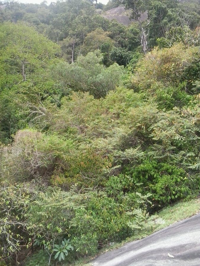 Athugala-Tempel Im Kurunagala - Sri Lanka Stockfoto - Bild von ...