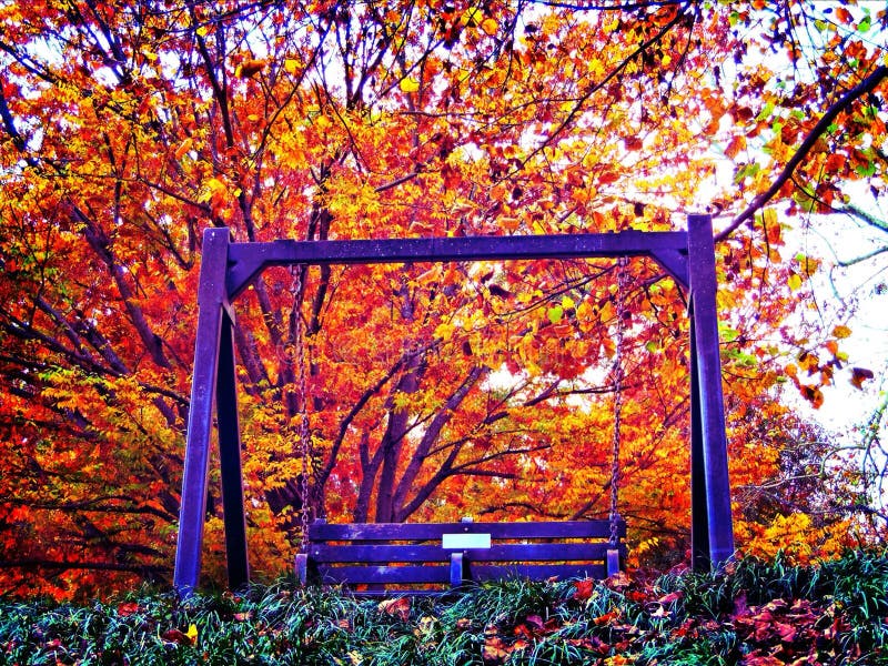 Atlanta Parks stock image. Image of colors, leaves, grass - 40879899