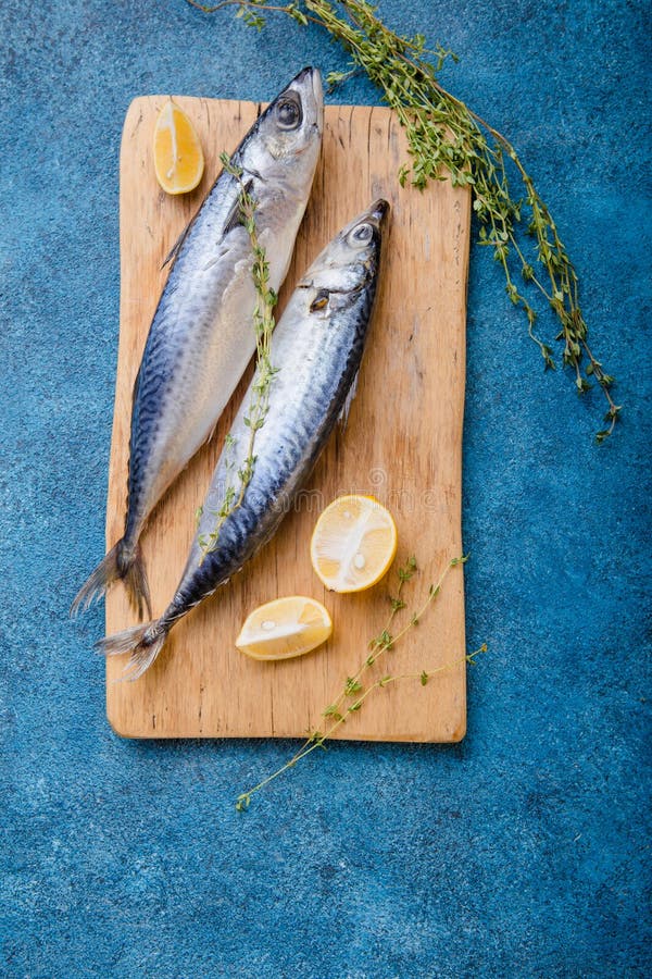 Atlantic Bonito Sarda or Palamida that is Large Mackerel-like Fish ...