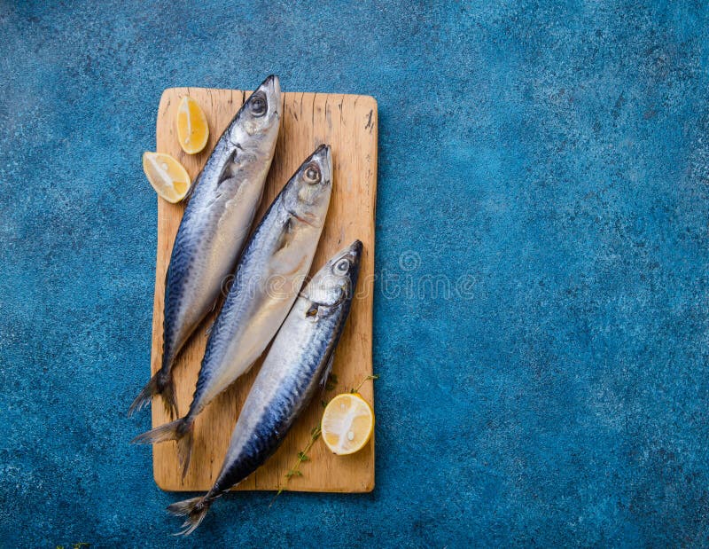 Atlantic Bonito Sarda or Palamida that is Large Mackerel-like Fish ...