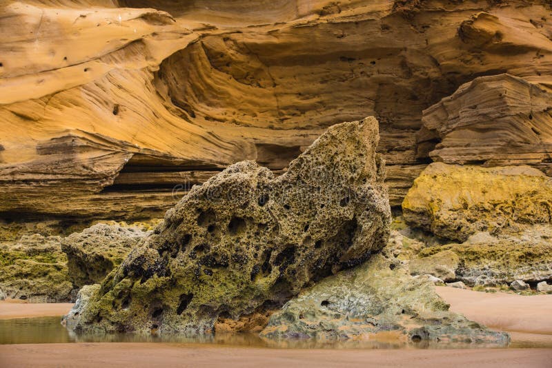 Atlantic Coast in the Details. Morocco. Stock Photo - Image of paradise ...