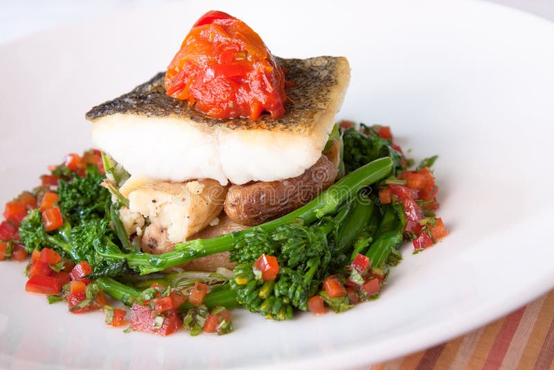 Atlantic Cod stock photo. Image of rapini, main, seafood - 9657652