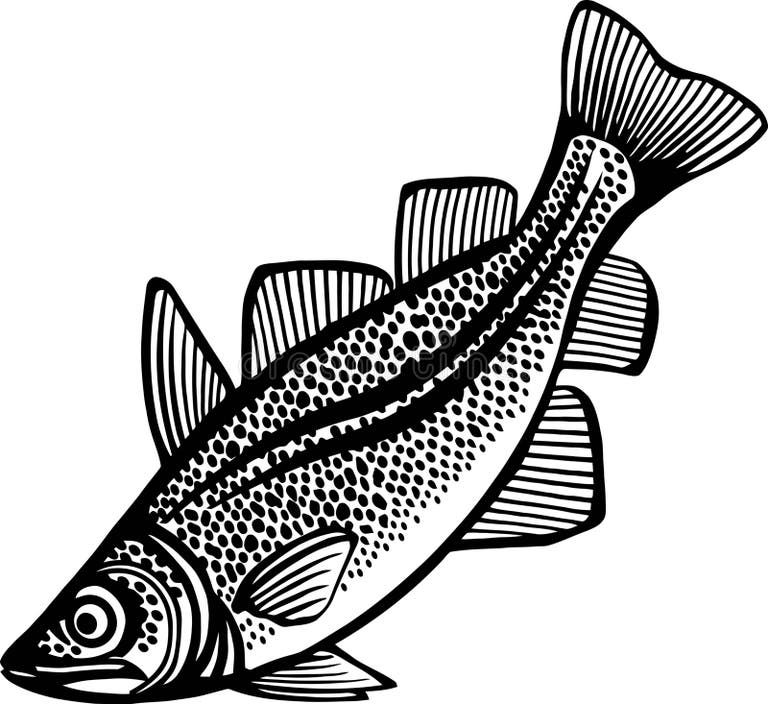 Cod Fish Logo Stock Illustrations – 1,119 Cod Fish Logo Stock ...